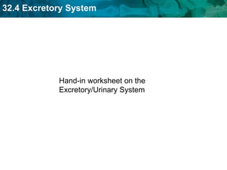 excretory_system_powerpoint.ppt