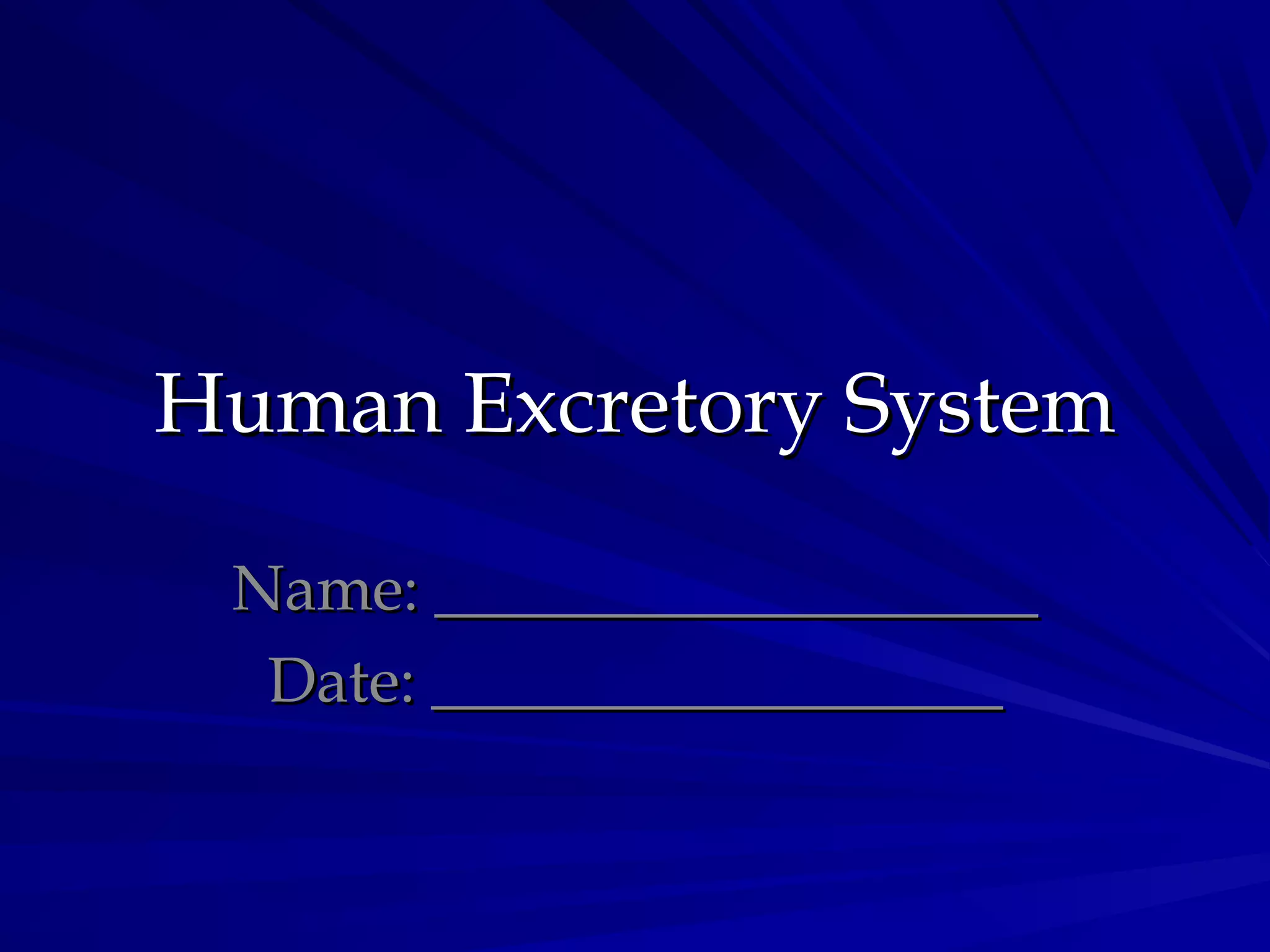Excretory system | PPT