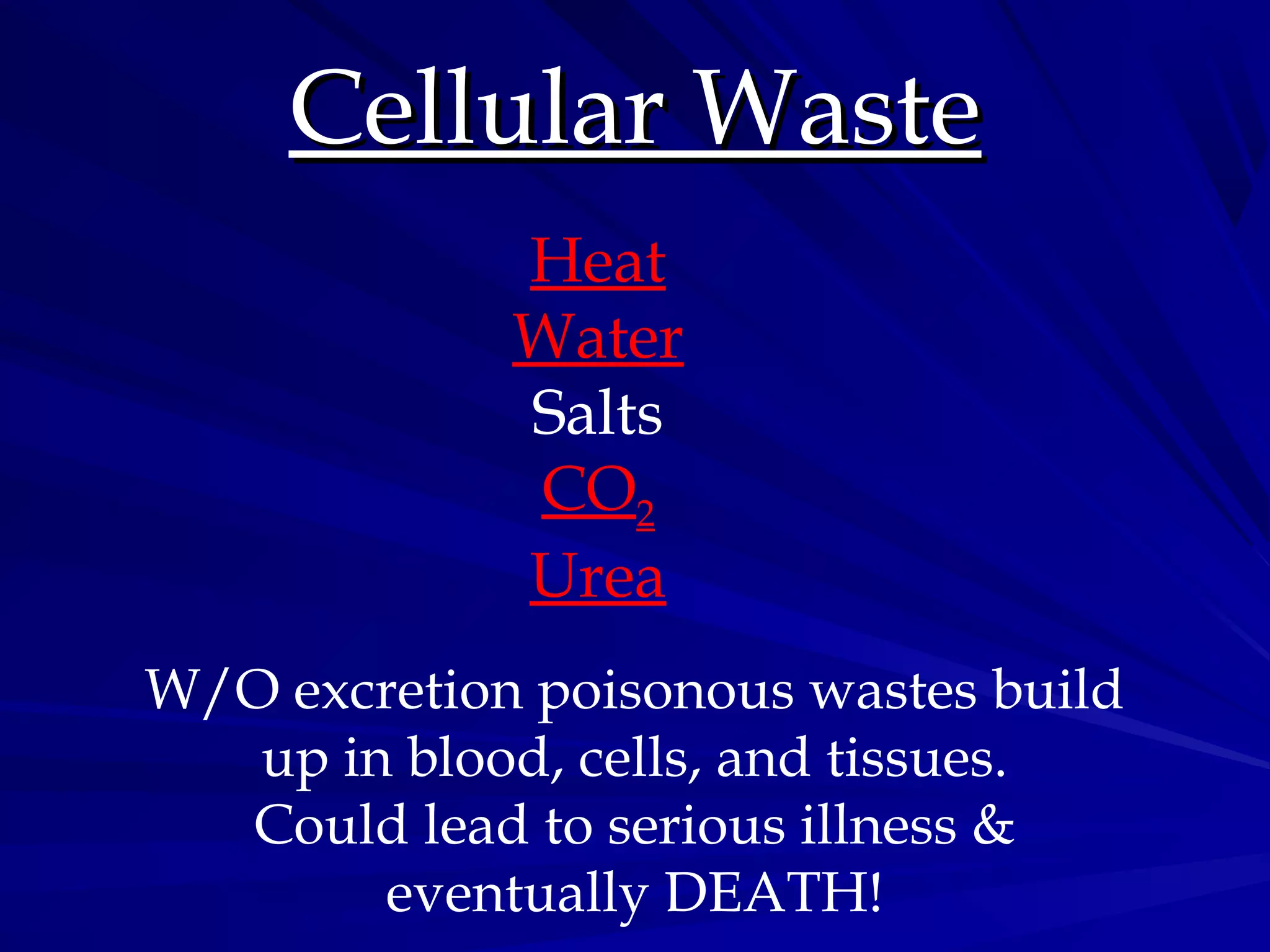 Excretory system | PPT