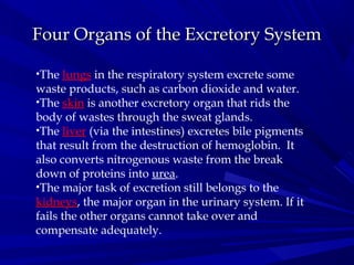 Human Excretory System (lungs, kidney) | PPT