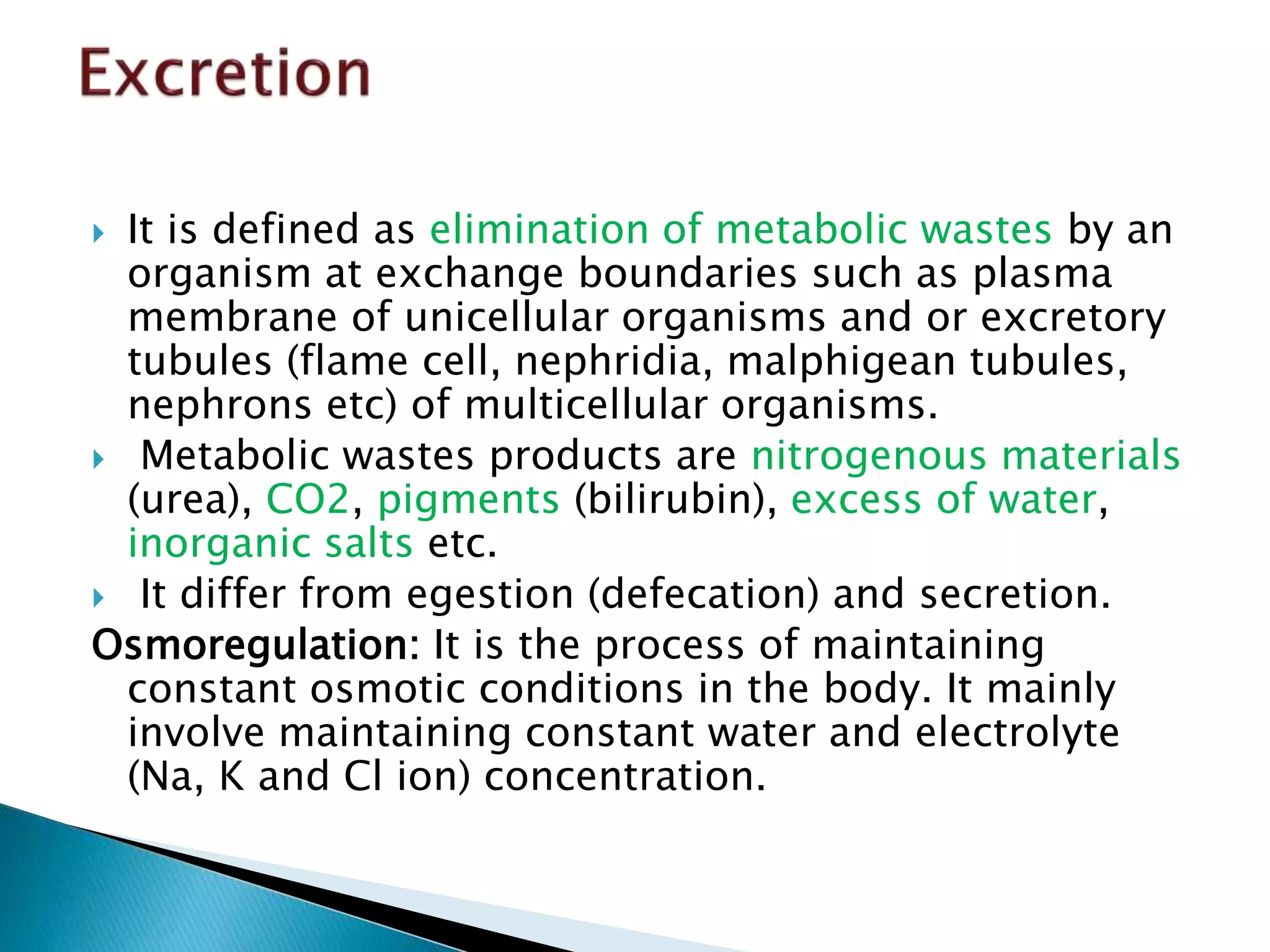 Excretory system ppt | PPTX | Chemistry | Science