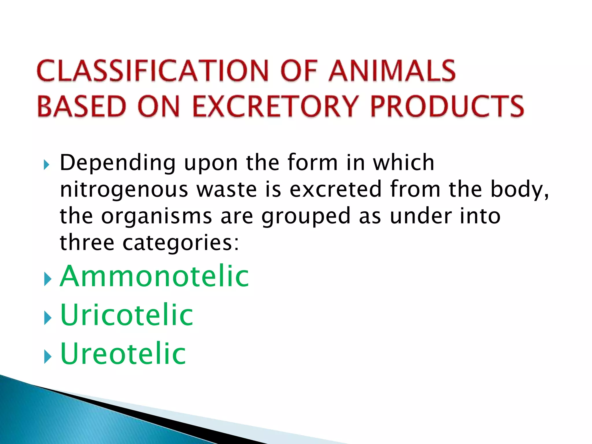 Excretory system ppt | PPTX | Chemistry | Science