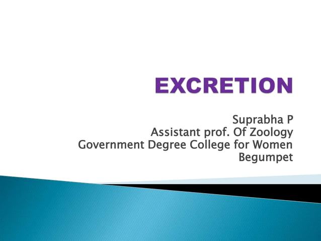 Excretory system ppt | PPT