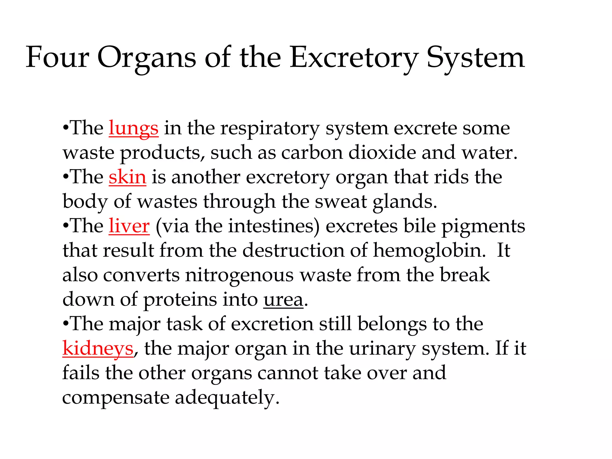 Excretory system ppt | PPT