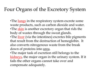 Excretory system ppt | PPT