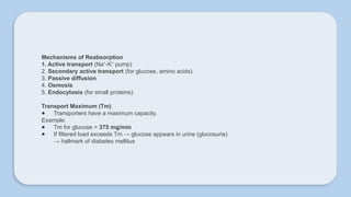 Human Excretory System (RIT): Kidney Functions & Urine Formation Made ...