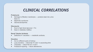 Human Excretory System (RIT): Kidney Functions & Urine Formation Made ...