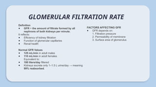 Human Excretory System (RIT): Kidney Functions & Urine Formation Made ...