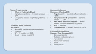 Human Excretory System (RIT): Kidney Functions & Urine Formation Made ...