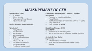 Human Excretory System (RIT): Kidney Functions & Urine Formation Made ...