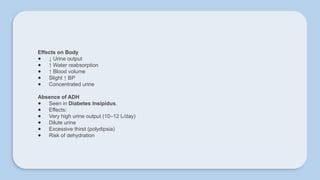 Human Excretory System (RIT): Kidney Functions & Urine Formation Made ...