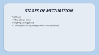 Human Excretory System (RIT): Kidney Functions & Urine Formation Made ...