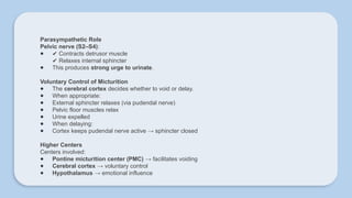 Human Excretory System (RIT): Kidney Functions & Urine Formation Made ...