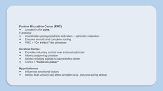 Human Excretory System (RIT): Kidney Functions & Urine Formation Made ...
