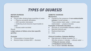 Human Excretory System (RIT): Kidney Functions & Urine Formation Made ...