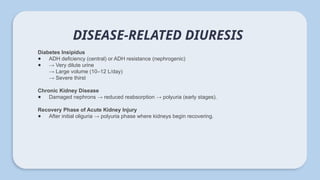 Human Excretory System (RIT): Kidney Functions & Urine Formation Made ...