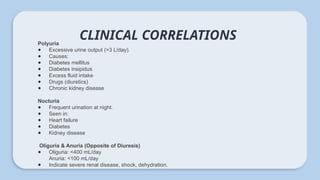 Human Excretory System (RIT): Kidney Functions & Urine Formation Made ...