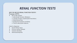 Human Excretory System (RIT): Kidney Functions & Urine Formation Made ...