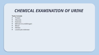 Human Excretory System (RIT): Kidney Functions & Urine Formation Made ...