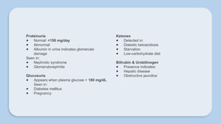 Human Excretory System (RIT): Kidney Functions & Urine Formation Made ...