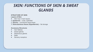 Human Excretory System (RIT): Kidney Functions & Urine Formation Made ...