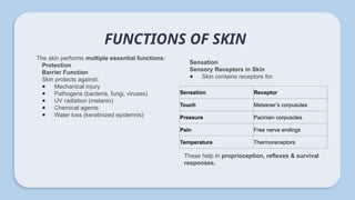Human Excretory System (RIT): Kidney Functions & Urine Formation Made ...