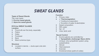Human Excretory System (RIT): Kidney Functions & Urine Formation Made ...