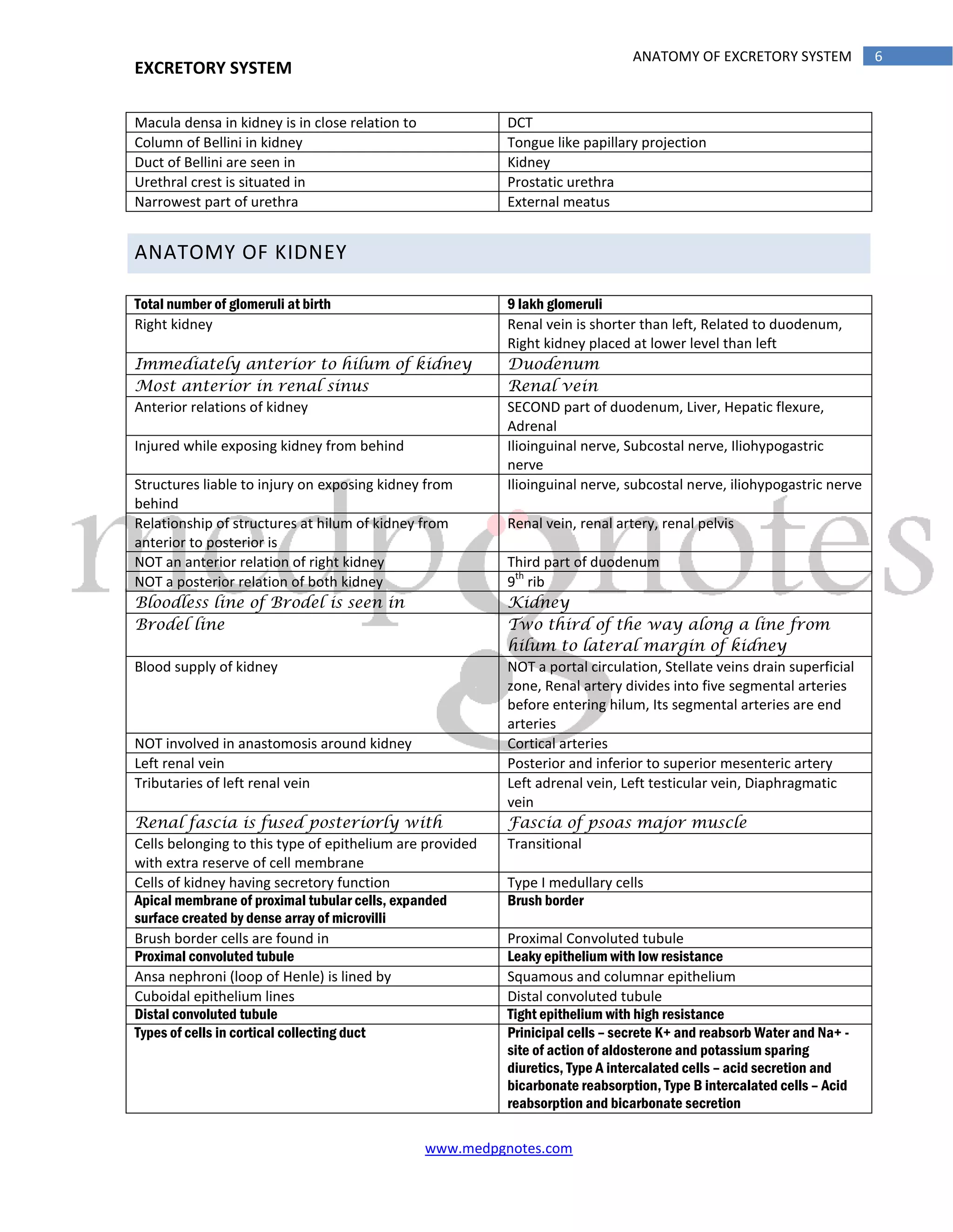Excretory system sample | PDF