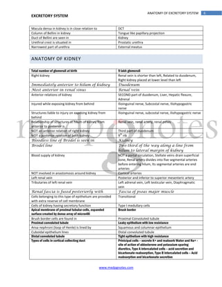 Excretory system sample | PDF