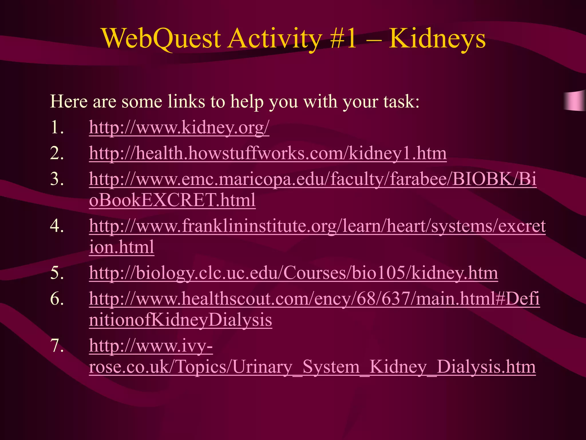 excretorysystemwebquest.ppt