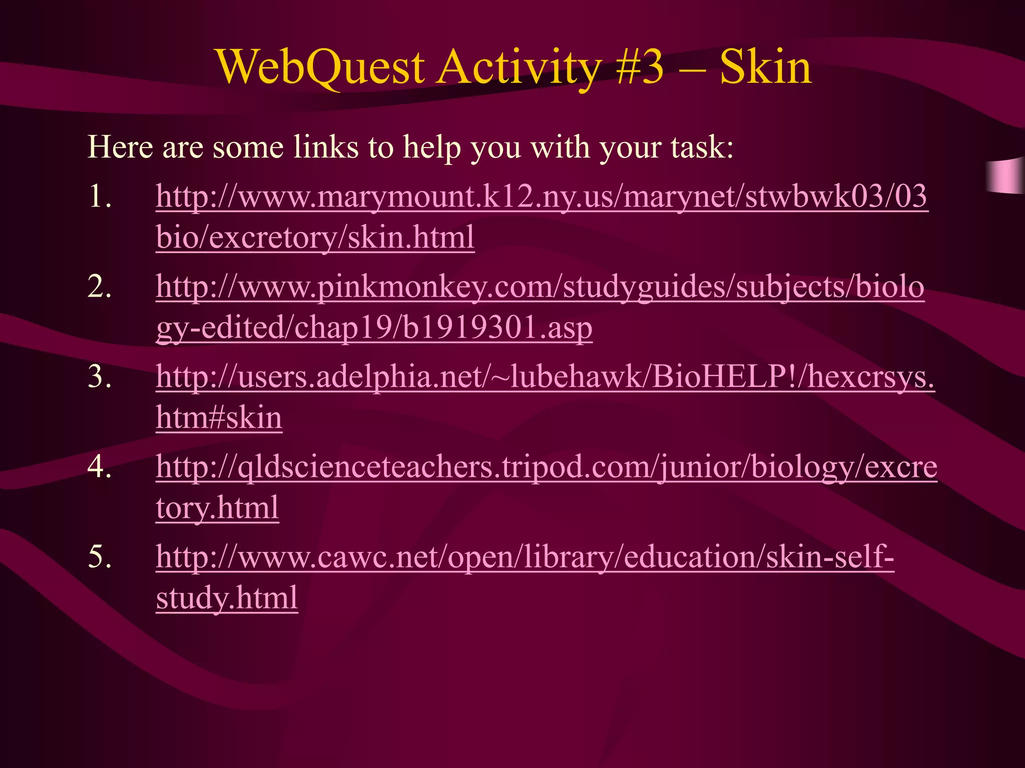 excretorysystemwebquest.ppt