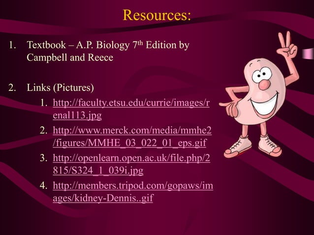 excretorysystemwebquest.ppt