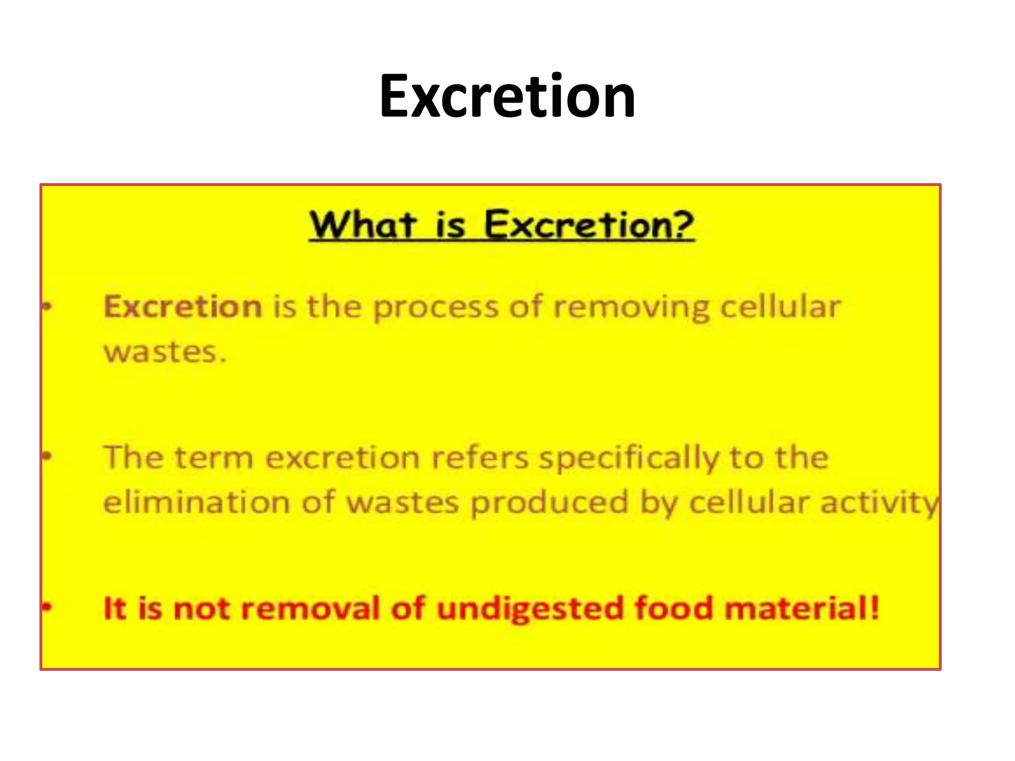 Excretion & Human Waste | PPTX