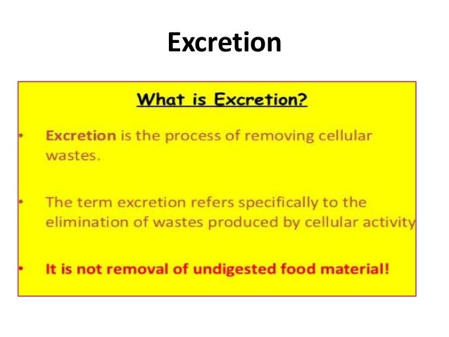 Excretion & Human Waste