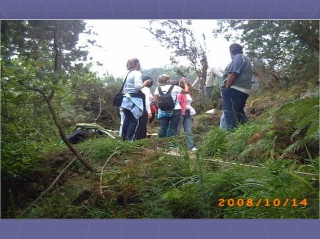 Excursion | PPT