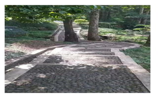 Excursion Parents' Briefing 2023.pdf | Parenting Children Aged 4-11 ...