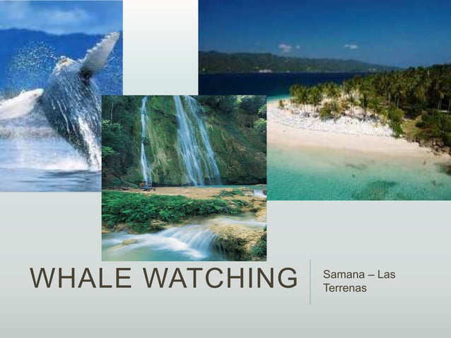 Excursion presentation | PPT