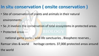 Biodiversity Conservation | PDF