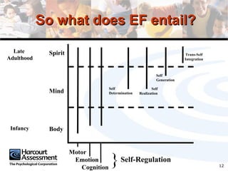 Executive Functioning Assessment in Psychoeducational Domains | PPT