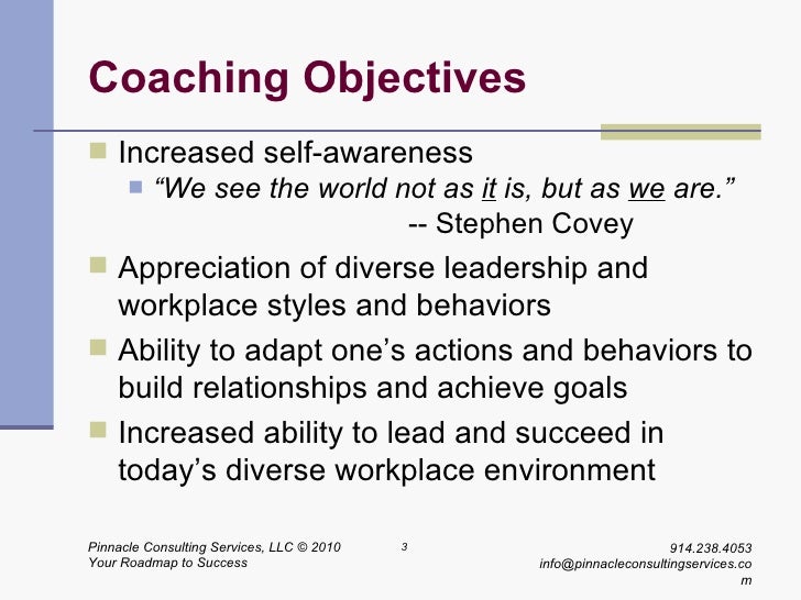 Executive And Group Coaching 2 20 2010