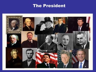 Executive Branch | PPS