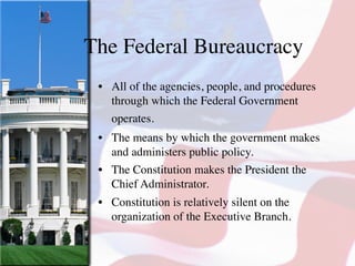 Executive Branch Definition