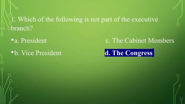 EXECUTIVE BRANCH.pptx