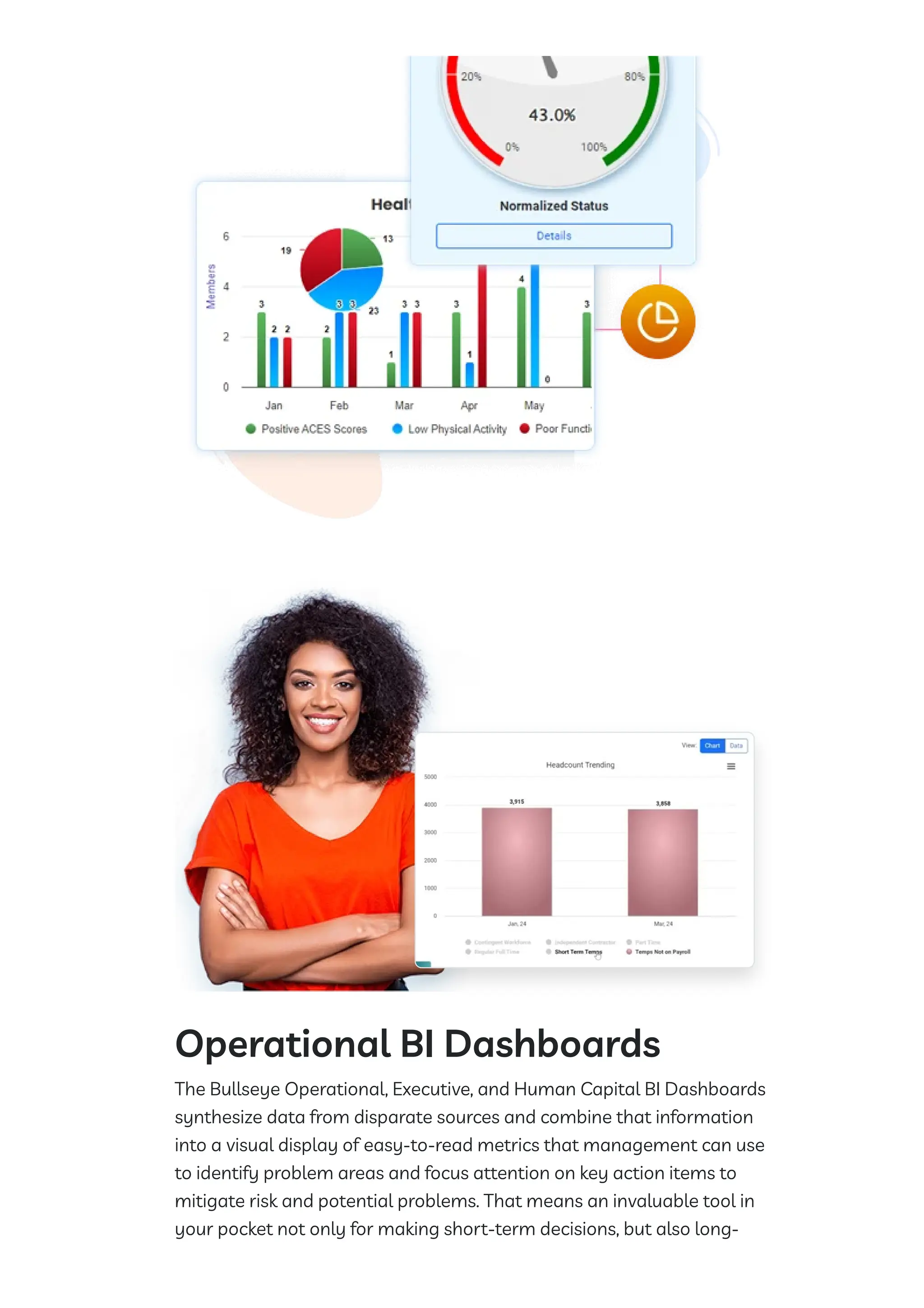 Executive Business Intelligence Dashboards | PDF