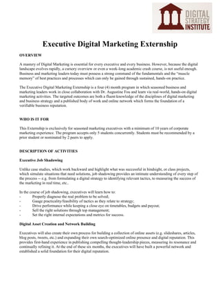 Executive Digital Marketing Externship | PDF