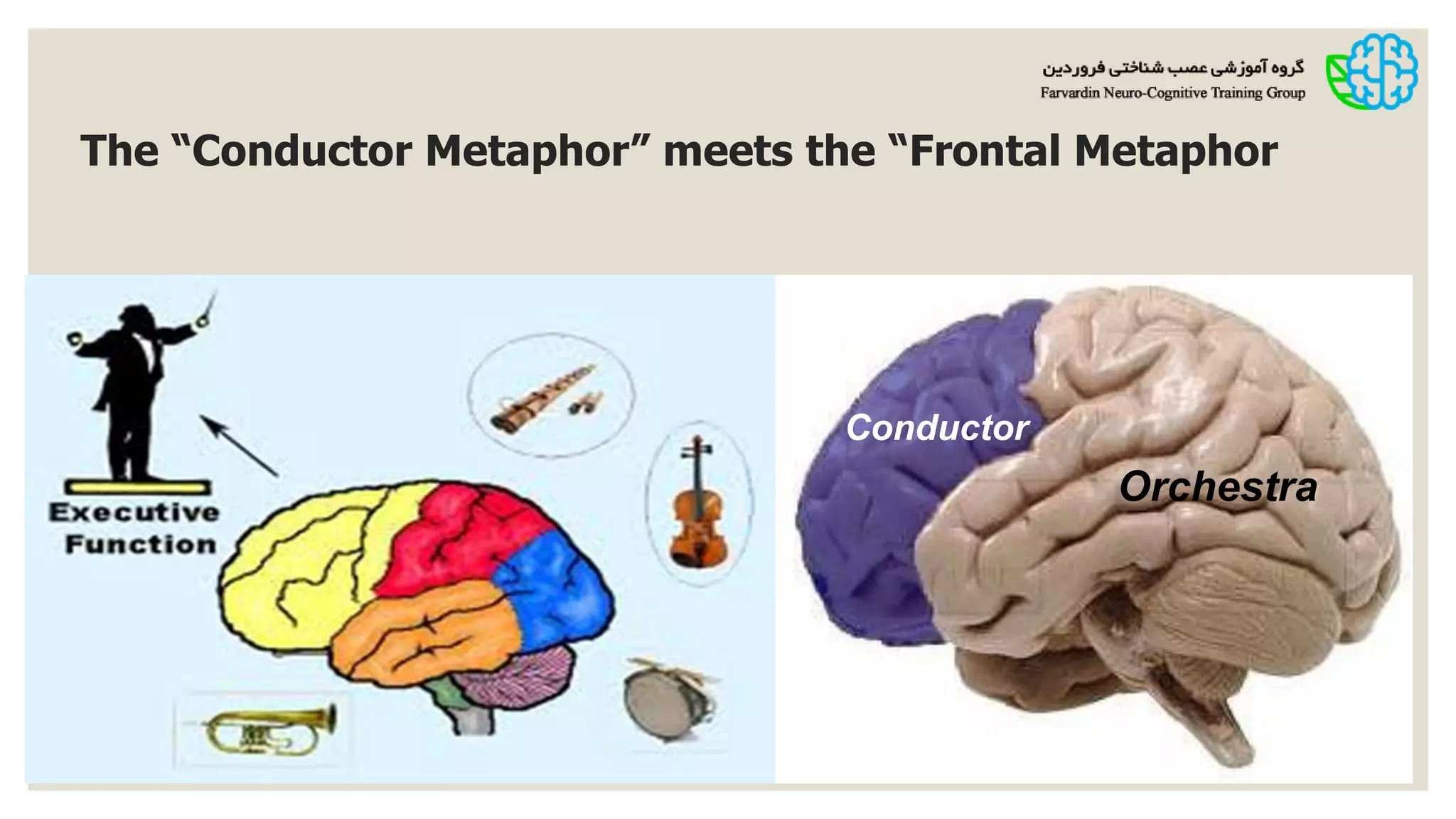 Executive function | PDF
