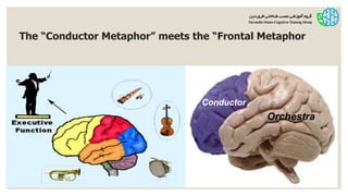 Executive function | PDF