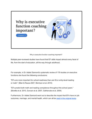 Executive function coaching The definitive guide (2023) | PDF