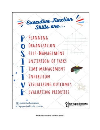 Executive function coaching The definitive guide (2023) | PDF