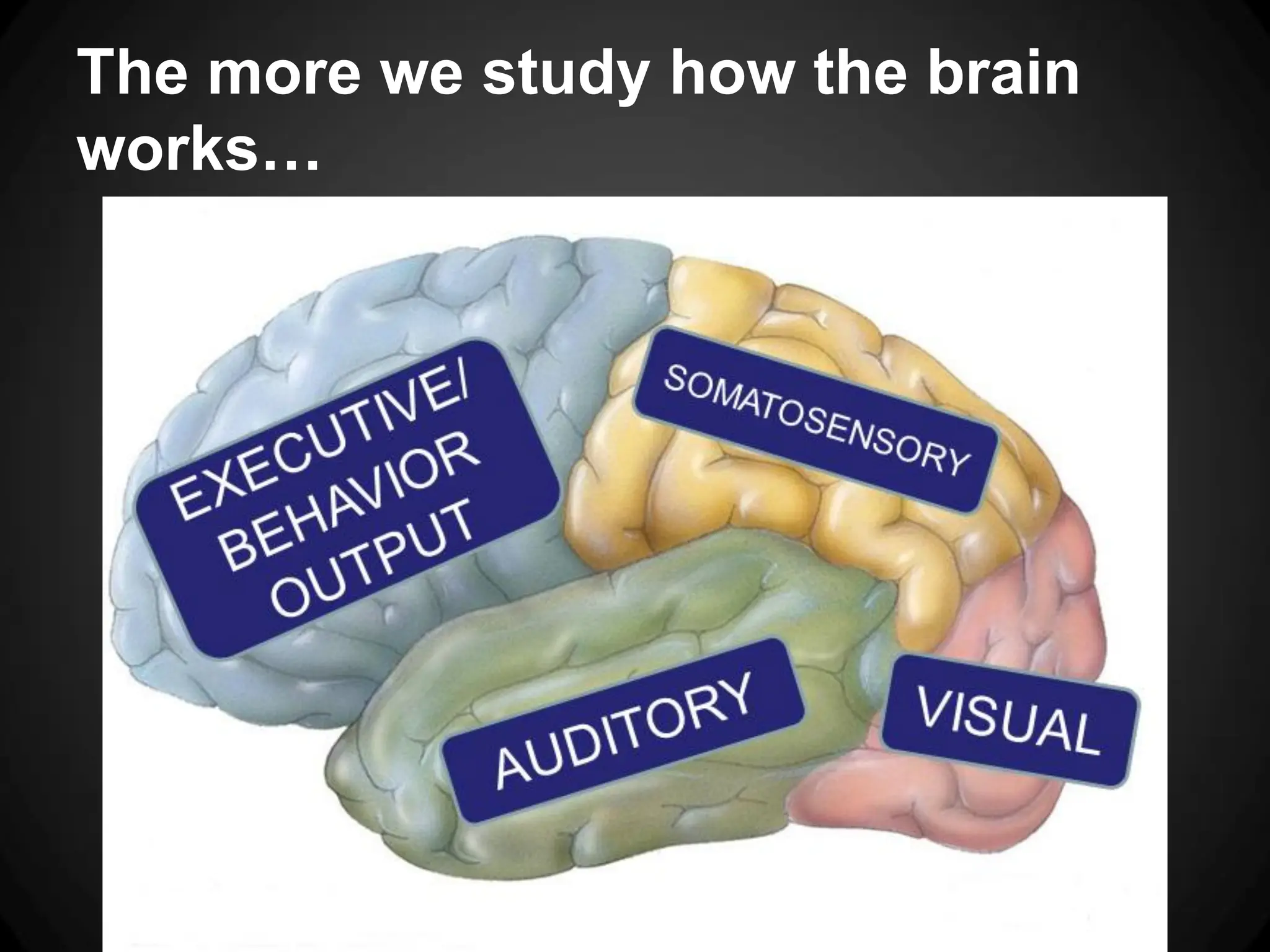 Executive Functioning- Advanced Assessment and Interpretation.pdf